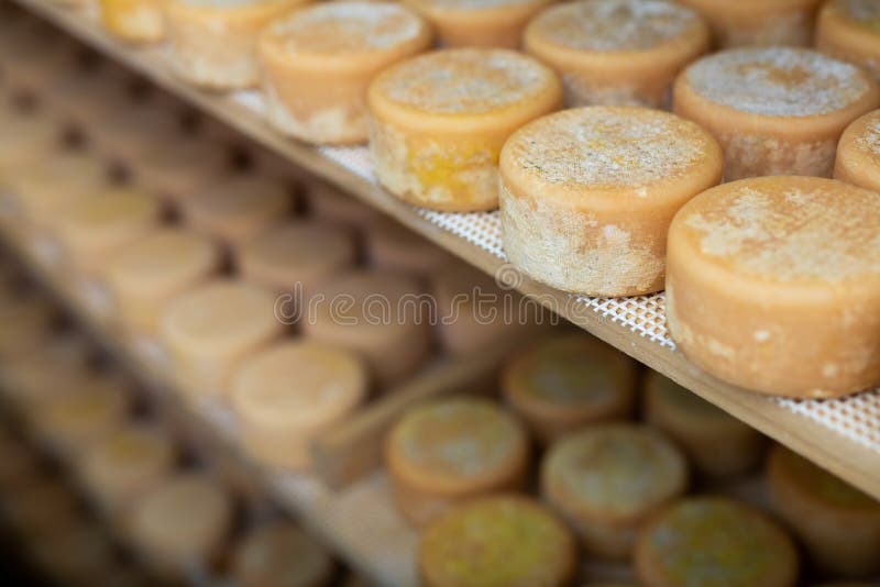 Head Cheese on Shelf in Cheese Dairy Stock Photo - Image of cellar ...