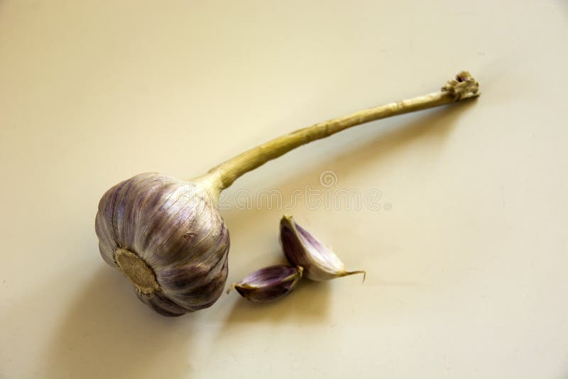 The Head and Cloves of Garlic Stock Image - Image of cook, natural ...