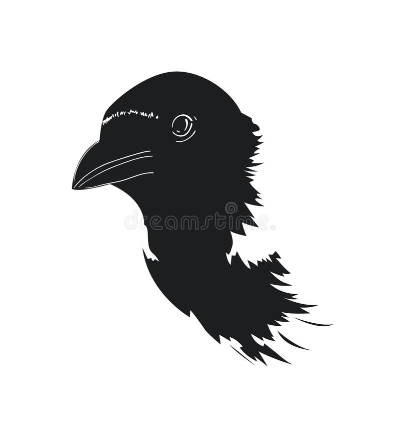 Head of crow stock vector. Illustration of graphic, crow - 207455884