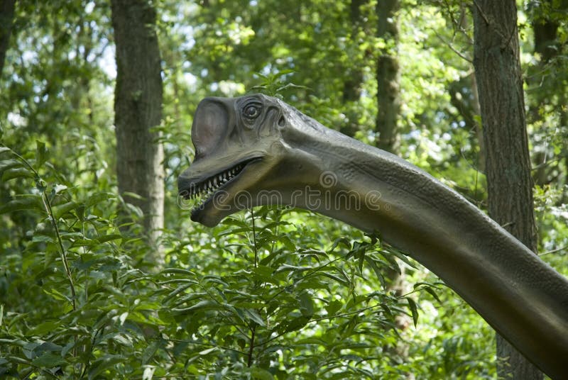 Head of a dinosaur stock image. Image of reptile, prehistoric - 3003201