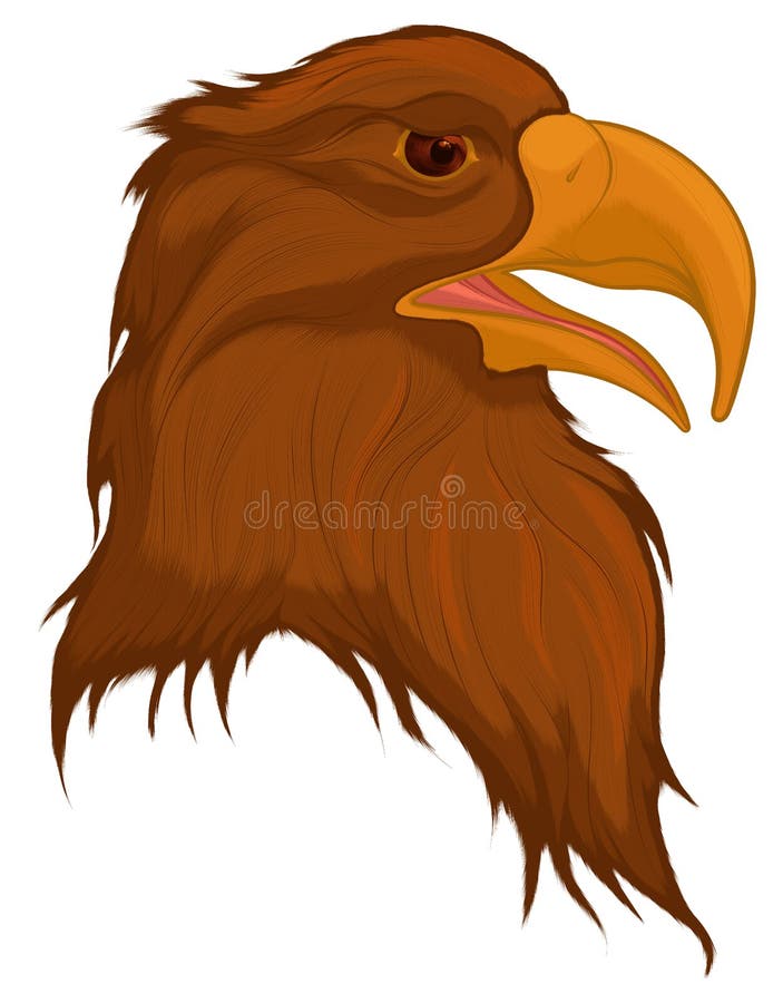 Disheveled Eagle Stock Illustrations – 3 Disheveled Eagle Stock ...