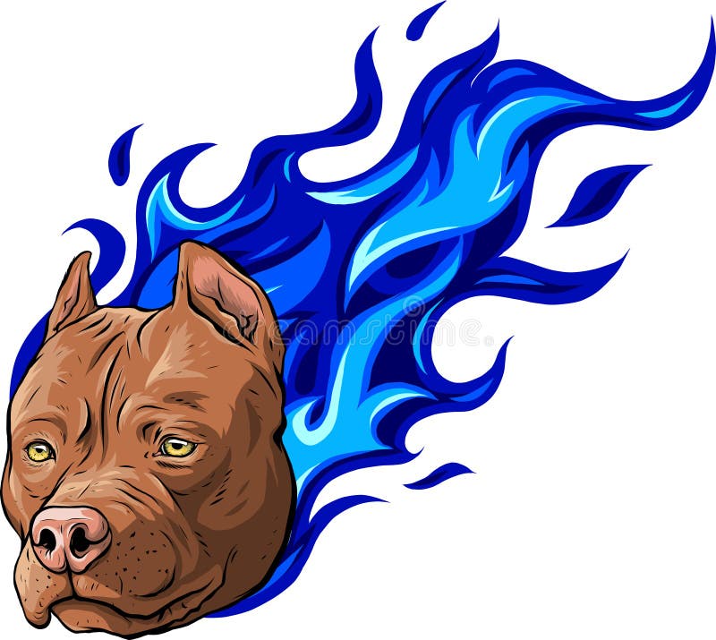 Head of Dog Pitbull on Fire Vector Stock Vector - Illustration of ...