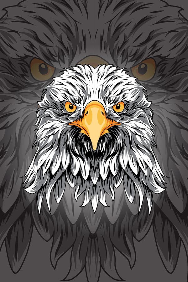 Head Eagle Bird Vector Illustration Stock Vector - Illustration of ...