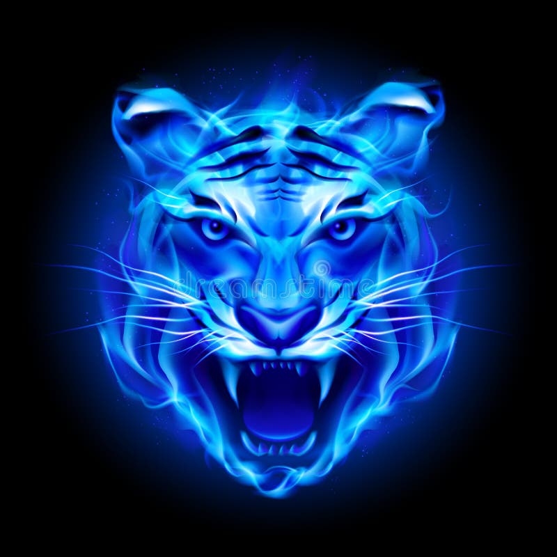 Head of fire tiger stock vector. Illustration of animals - 33566627
