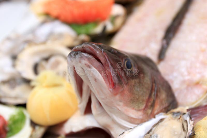 Head of fish stock image. Image of cooking, dinner, meal - 7122289