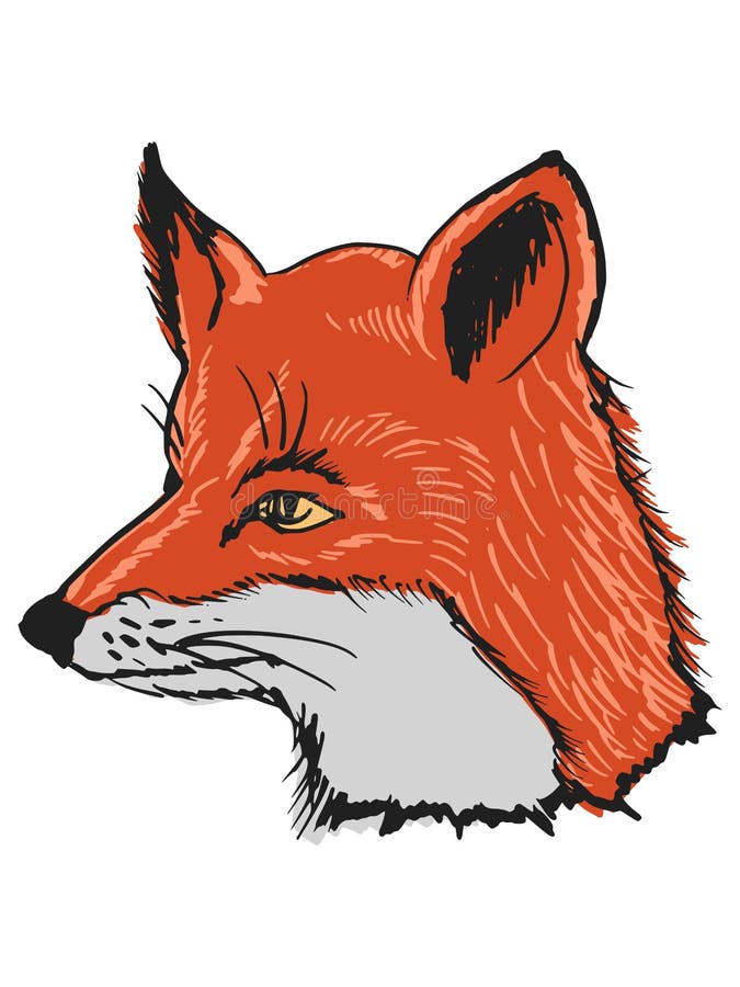 Head of fox stock vector. Illustration of fauna, drawn - 39536034