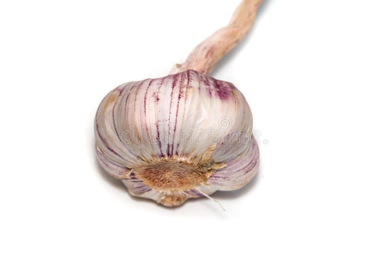 Head of Garlic Close-up on a White Background. Stock Image - Image of ...