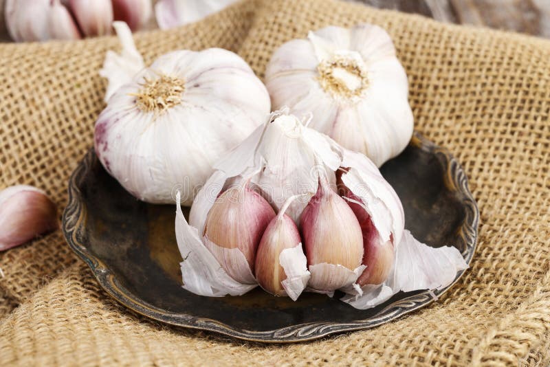 Head of garlic stock image. Image of healthy, garlic - 49943367