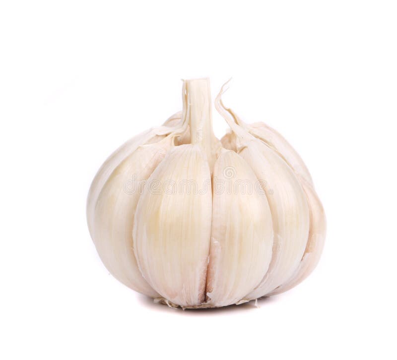 Head of garlic. stock photo. Image of healthy, objects - 41468816