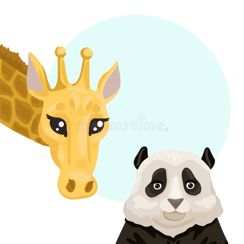 Panda and Giraffe Peep. Tropical Animals Look Out. Vector Illustration ...
