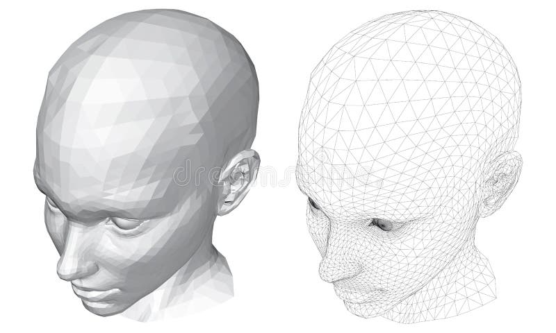 Head of the Person from a 3d Grid. Human Head Wire Model. Human Polygon ...