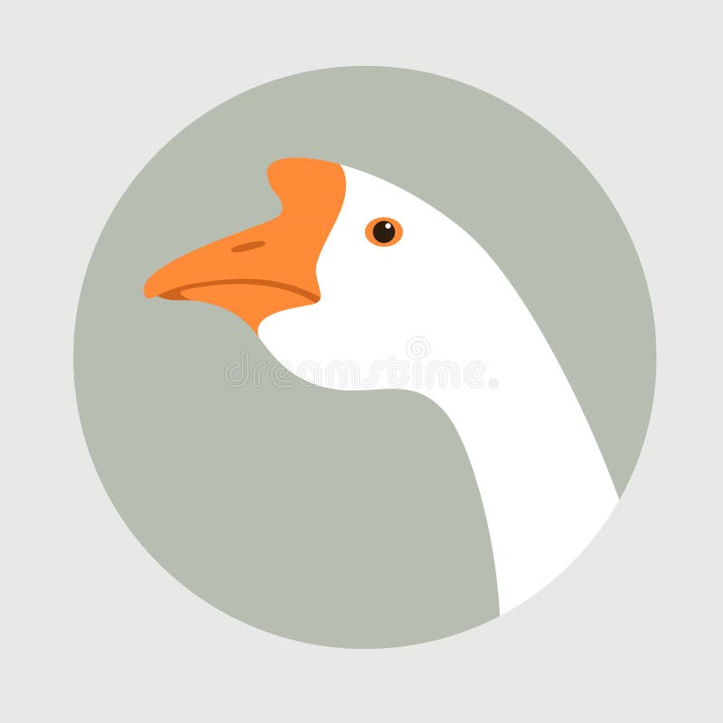 Head of goose stock vector. Illustration of white, village - 30158269