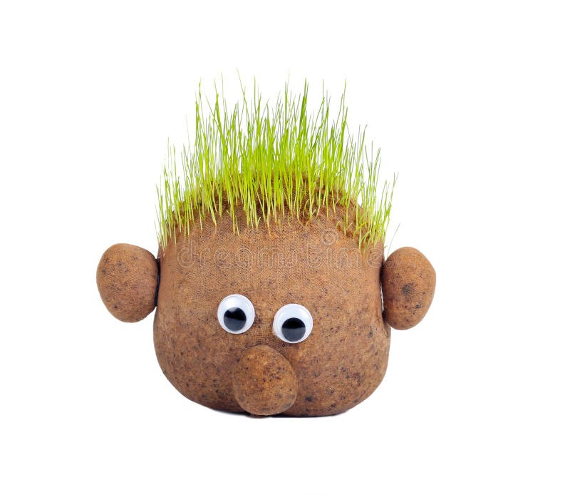 Potato head with grass stock image. Image of environment - 40814941