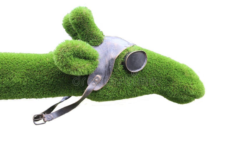 Head of a Green Camel in a Helmet Stock Photo - Image of strive, sport ...