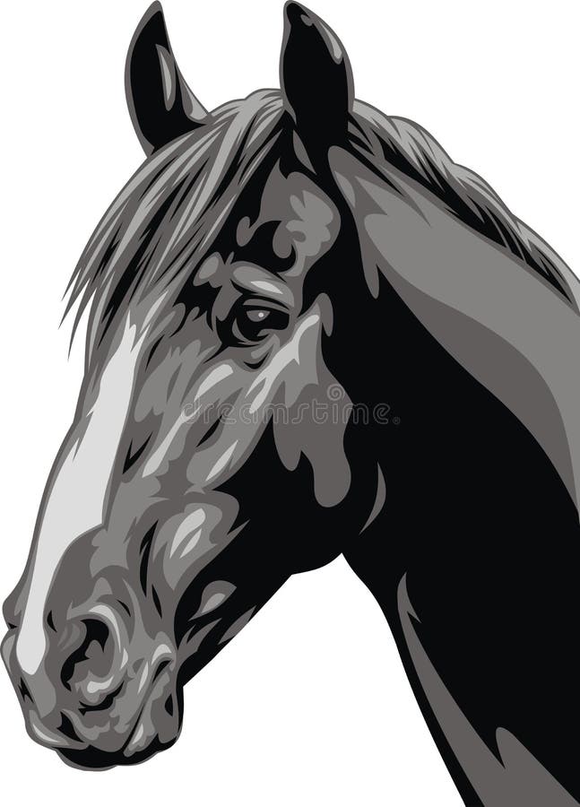 Grey Horse Stock Illustrations – 6,781 Grey Horse Stock Illustrations ...