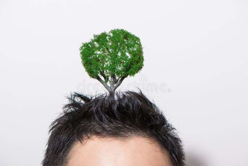 Head growing trees stock image. Image of grass, individuality - 43441383