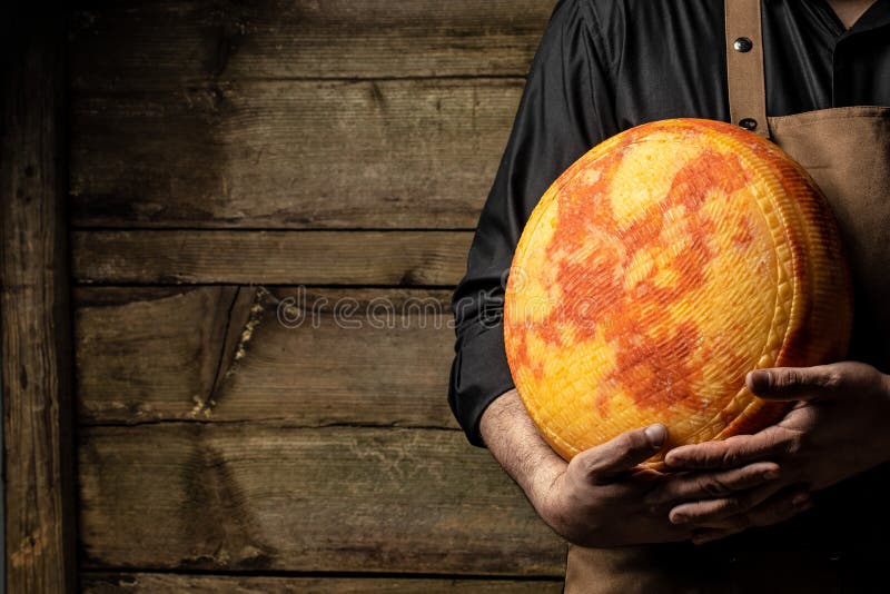 A Head of Hard Cheese in Man`s Cheesemaker Hands. Marble Cheese Stock ...