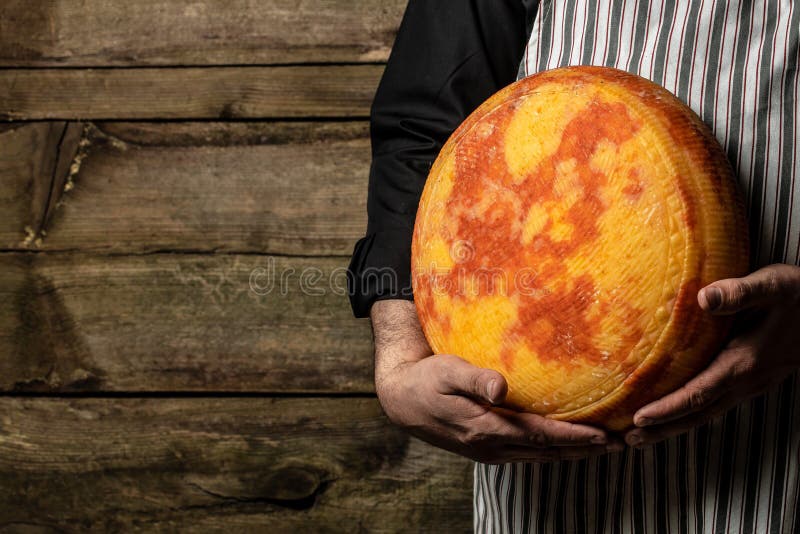 A Head of Hard Cheese in Man`s Cheesemaker Hands. Marble Cheese Stock ...