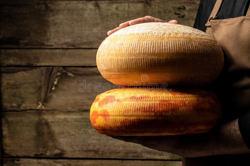 A Head of Hard Cheese in Man S Cheesemaker Hands. Marble Cheese Stock ...