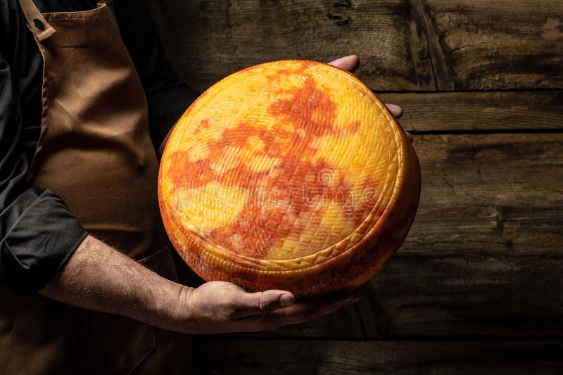 A Head of Hard Cheese in Man& X27;s Cheesemaker Hands. Marble Cheese ...