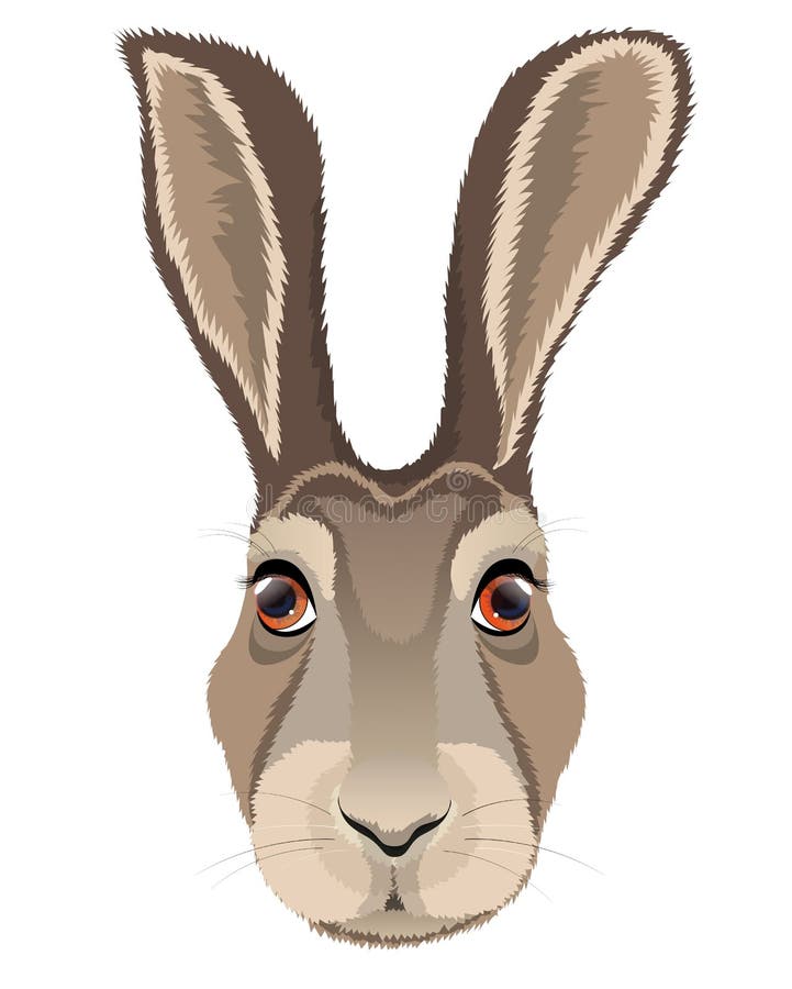 Head Of A Hare. Cartoon Style. Clip Art For Children. Stock Vector ...