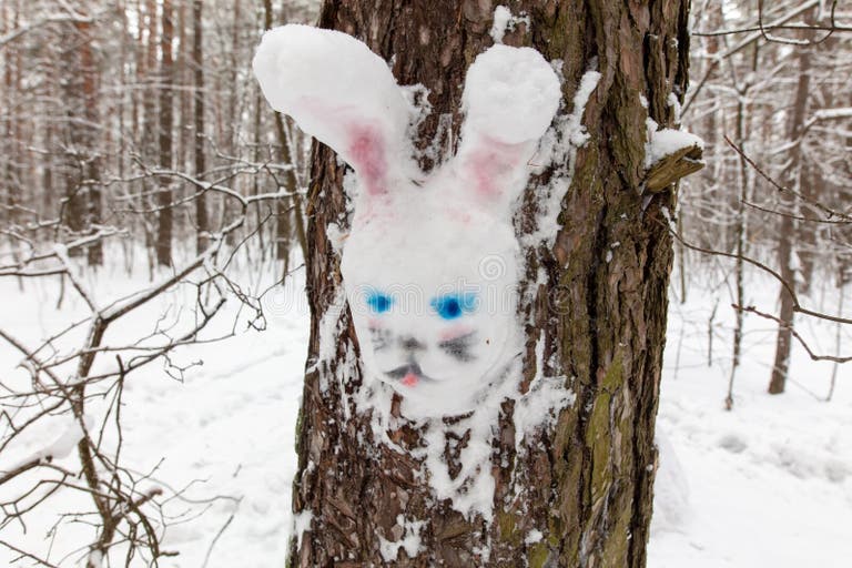 Head of a Hare and Snow on a Tree Stock Photo - Image of christmas ...