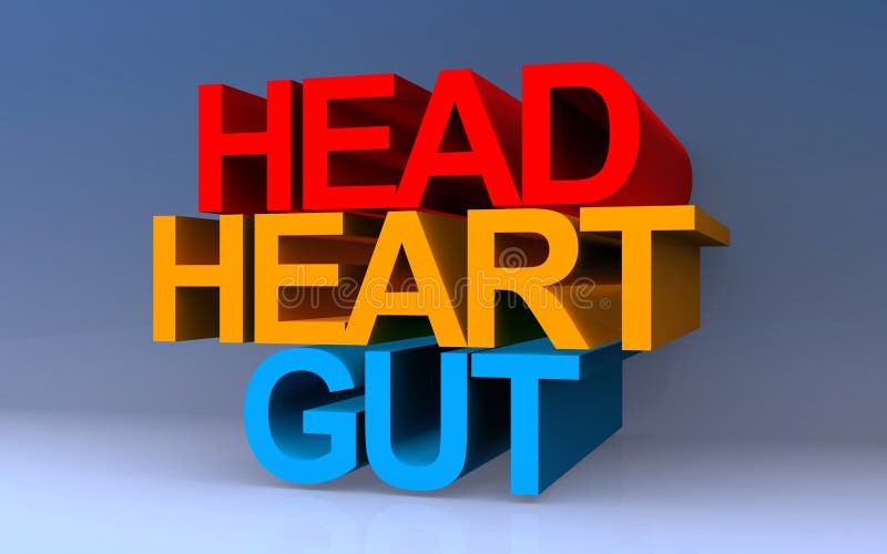 Head heart gut on blue stock illustration. Illustration of judgment ...