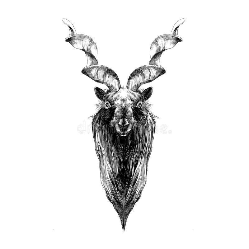 Sketch Horns Stock Illustrations – 10,698 Sketch Horns Stock ...