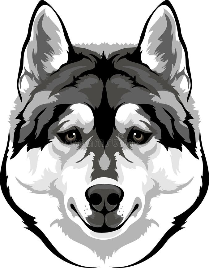 Dog s head stock vector. Illustration of gray, wild, profile - 39923615