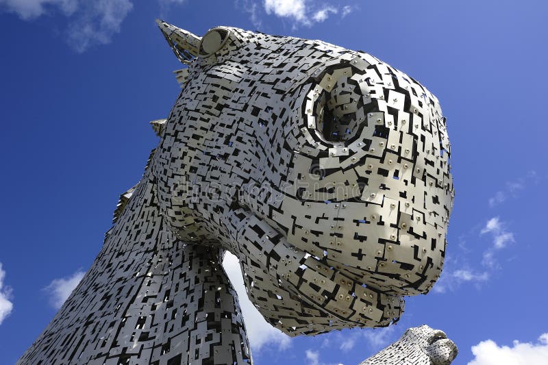 The head of the Kelpie editorial stock photo. Image of neck - 68334508