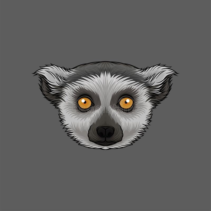 Lemur Head Stock Illustrations – 1,249 Lemur Head Stock Illustrations ...
