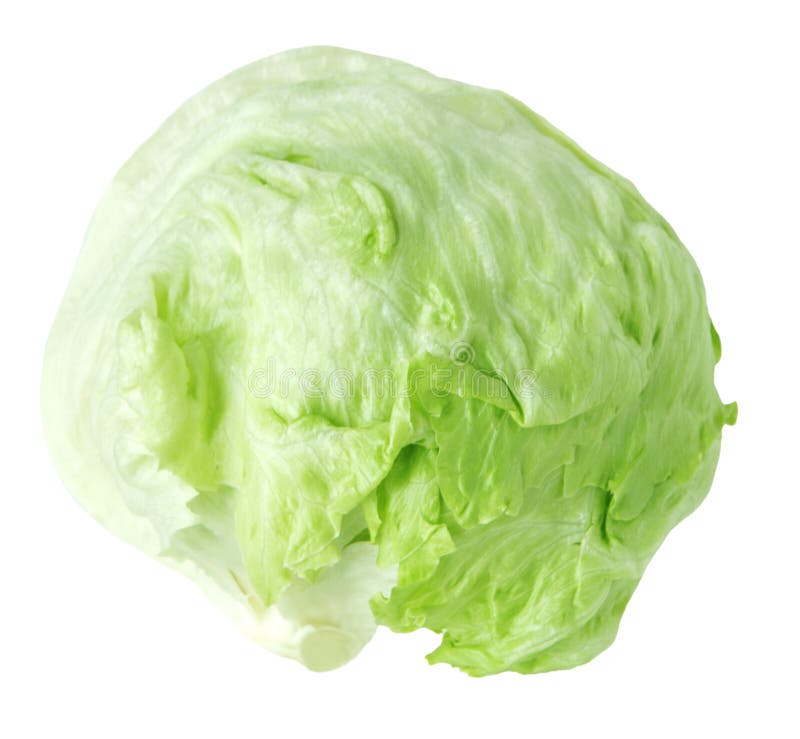 Lettuce Head Isolated on White Stock Photo - Image of plant, vegetable ...