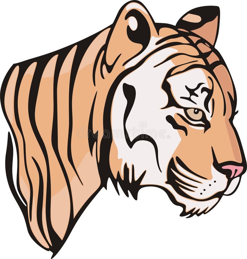 Head of a little tiger cub stock vector. Illustration of heads - 17547454