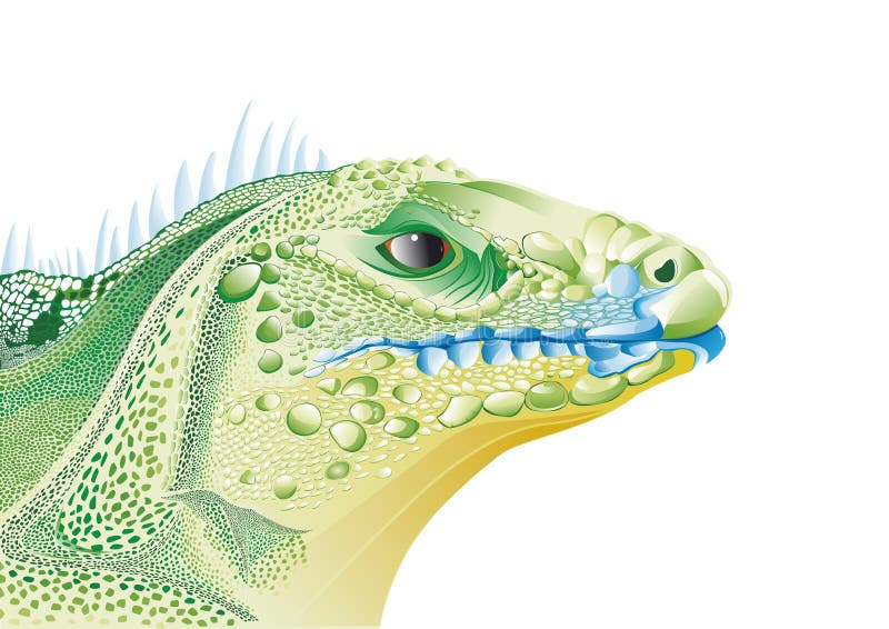 Head lizard stock vector. Illustration of wildlife, skin - 68038954