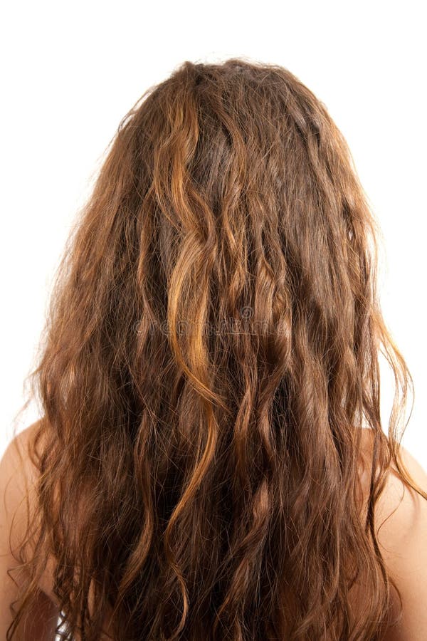Head of long-haired girl stock photo. Image of head, human - 11977826