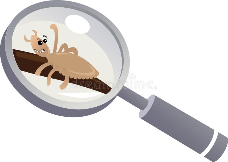 Head louse stock vector. Illustration of louse, animal - 12633133