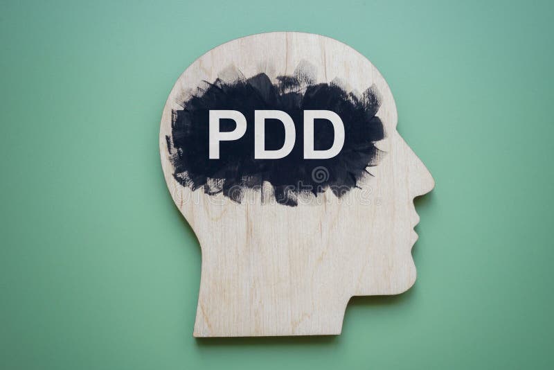 Head Model with Inscription PDD Persistent Depressive Disorder. Stock ...