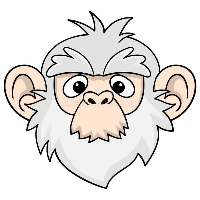 Head of an Old White Haired Monkey with an Innocent Face Stock Vector ...