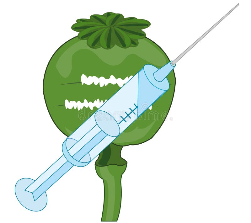 Head Opium Poppy and Syringe with Drug Stock Vector - Illustration of ...