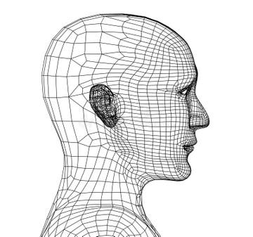 Head of the Person from a 3d Grid Stock Illustration - Illustration of ...