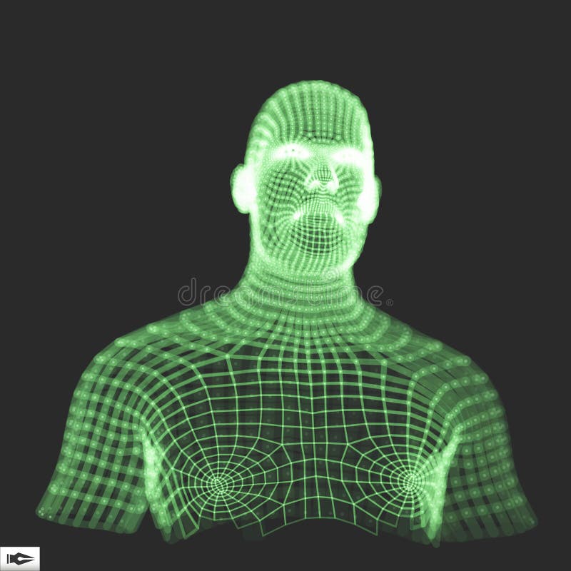 Head Of The Person From A 3d Grid. Human Head Wire Model. Human Polygon ...