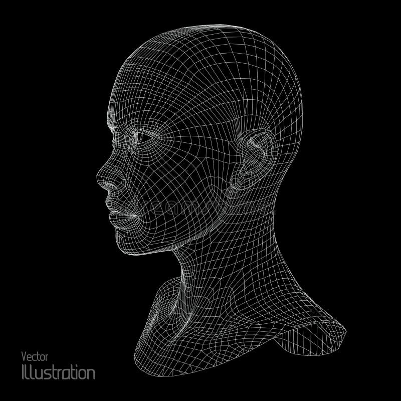 Head of the Person from a 3d Grid. Human Wire Model. Polygon . Face ...