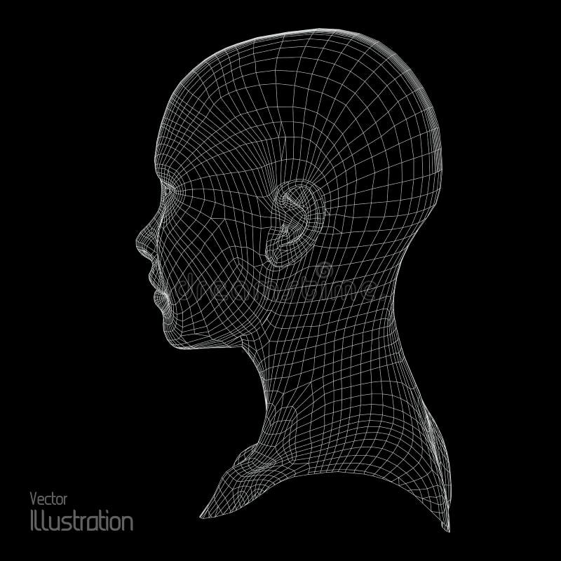 Head Person 3d Grid Human Head Wire Model Human Polygon Head Face ...