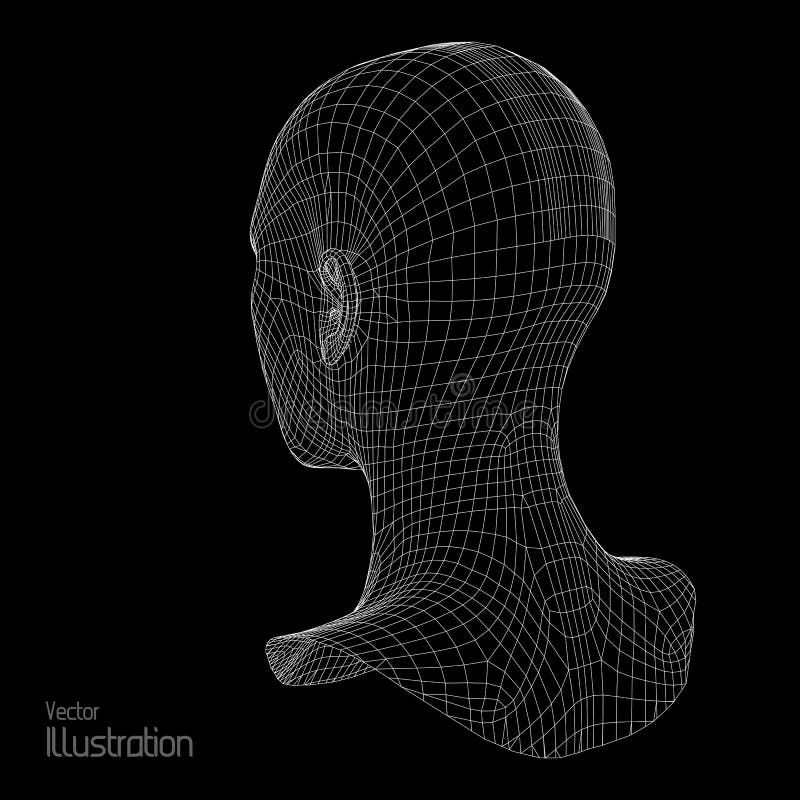 Head Person 3d Grid Human Head Wire Model Human Polygon Head Face ...