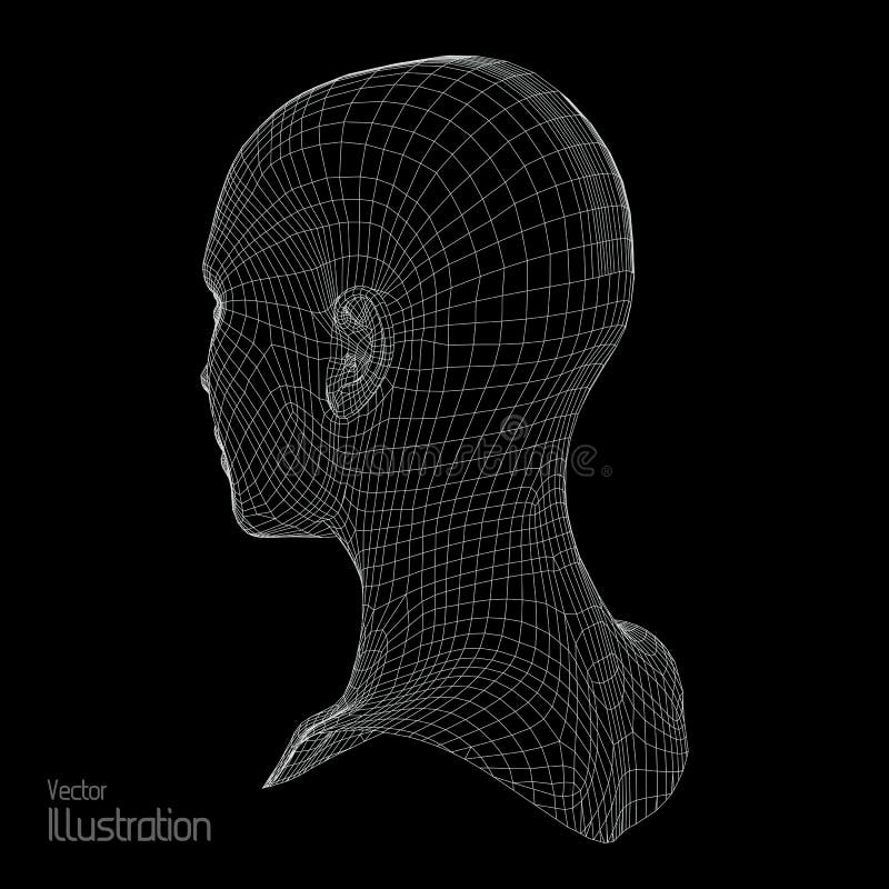 Head Person 3d Grid Human Head Wire Model Human Polygon Head Face ...