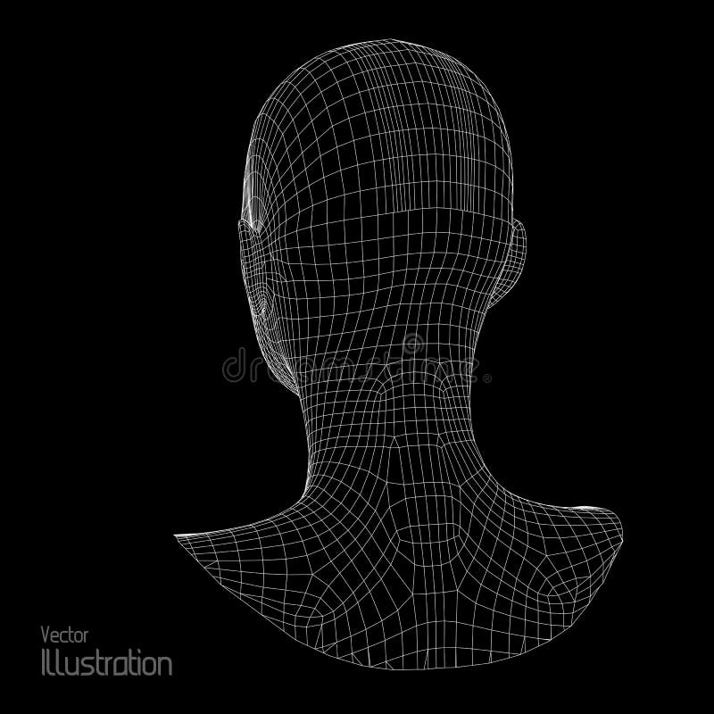Head of the Person from a 3d Grid. Human Wire Model. Polygon . Face ...