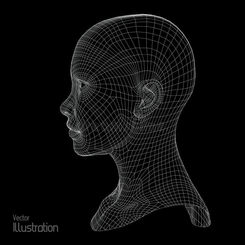Head of the Person from a 3d Grid. Human Wire Model. Polygon . Face ...