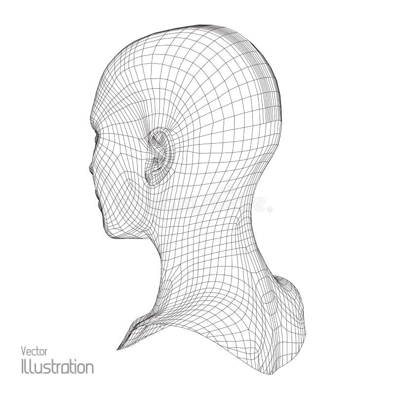 Head of the Person from a 3d Grid. Human Wire Model. Polygon . Face ...