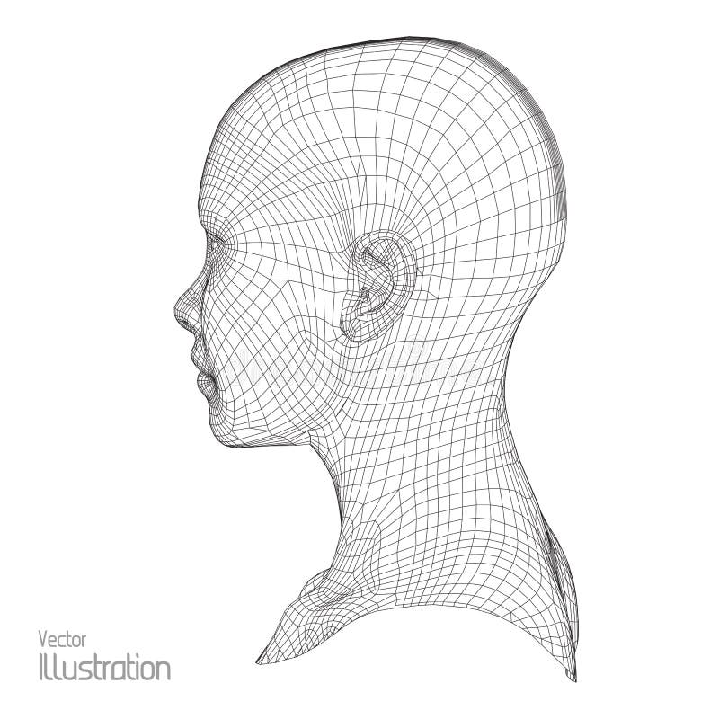 Head of the Person from a 3d Grid. Human Wire Model. Polygon . Face ...