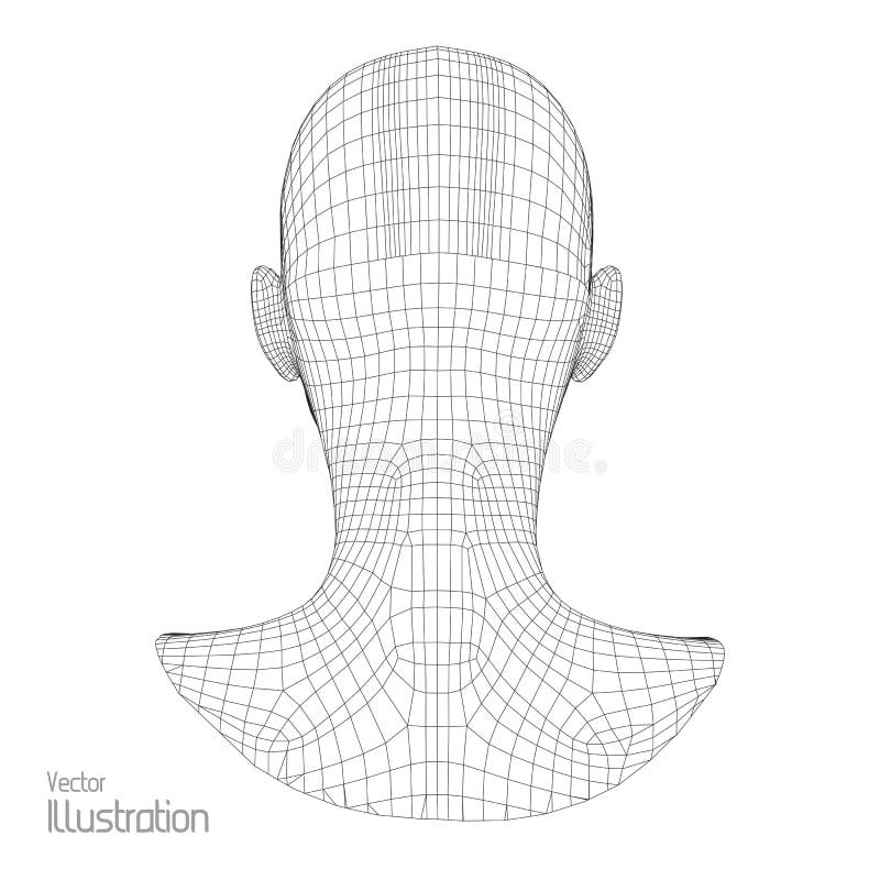 Head of the Person from a 3d Grid. Human Wire Model. Polygon . Face ...